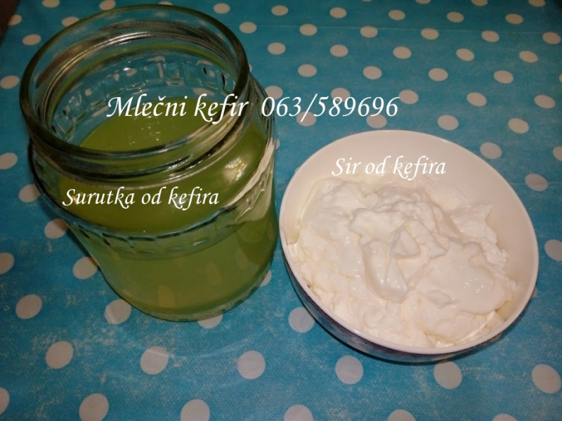 Oglas - Mlečna kefirna zrnca, Tibetanska gljiva za domaći kefir - 350 ...